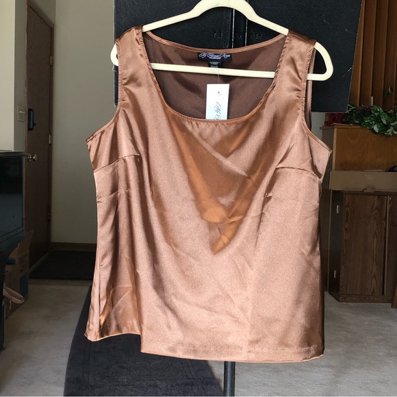 Colleen Lopez | Tops | Nwt Colleen Lopez Browngold Shell Sz X | Poshmark